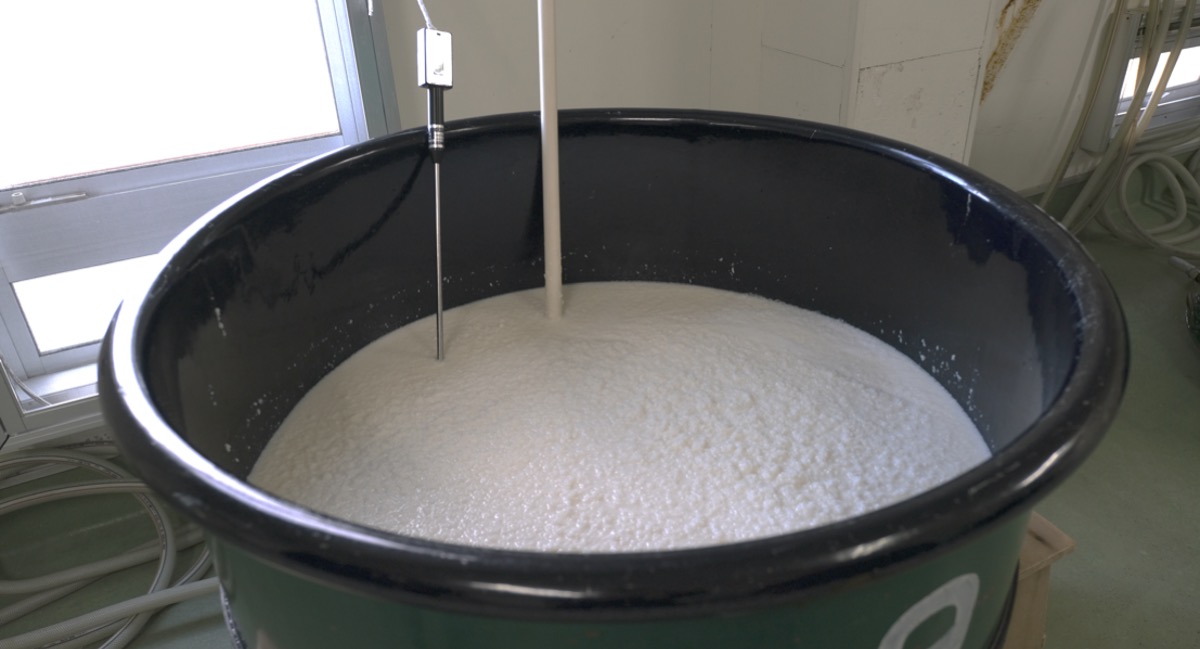 What is Shubo in Sake making? - IKKI - Japanese Sake Media