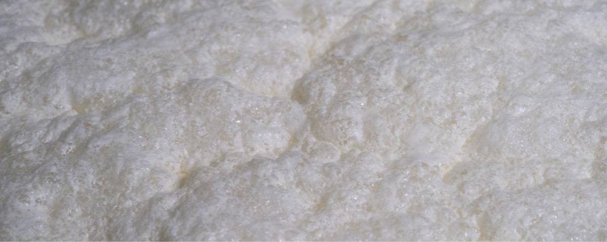 What is Shubo in Sake making? - IKKI - Japanese Sake Media