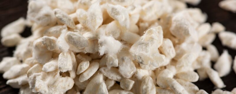 Koji: its variation and their differences in flavours - IKKI - Japanese ...